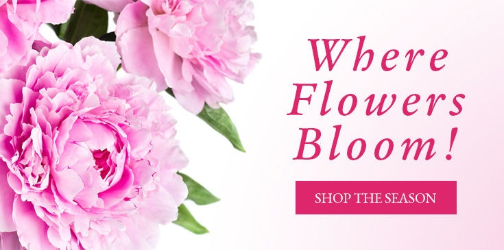 Tulsa Florist Mary Murray's Flowers | Tulsa Flower Delivery