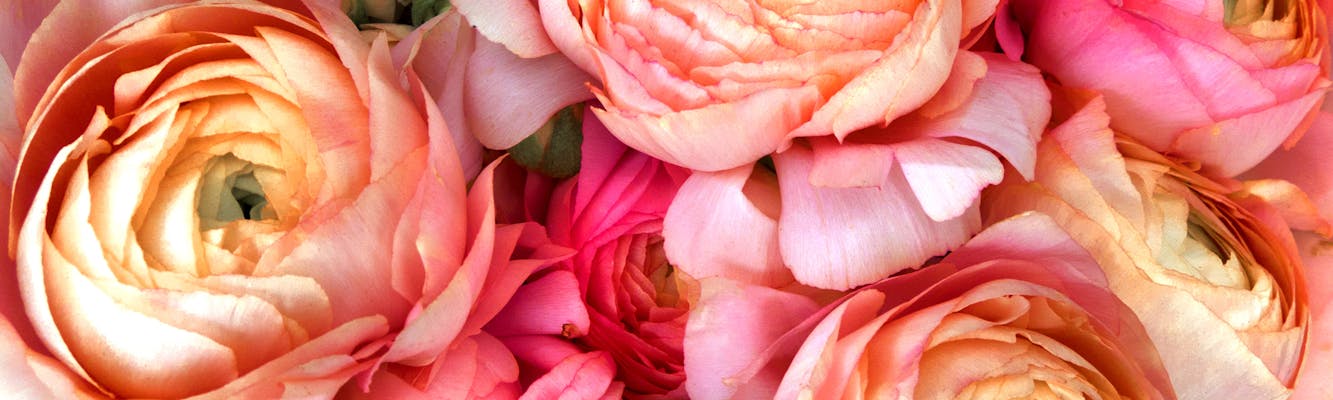 Best Tulsa Florist - Same-day Flower Delivery Tulsa | Mary Murray's Flowers