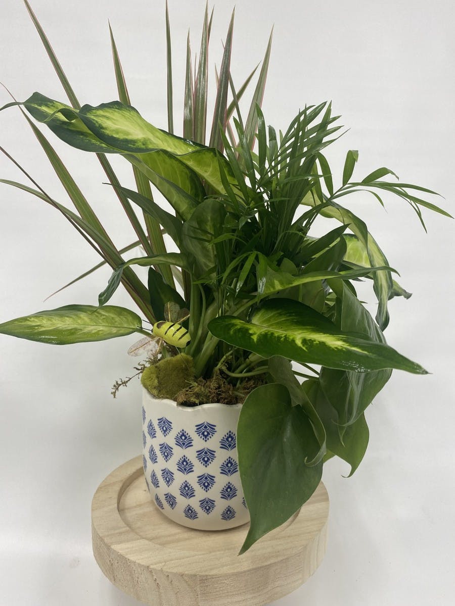 Best Tulsa Florist - Same-day Flower Delivery Tulsa | Mary Murray's Flowers