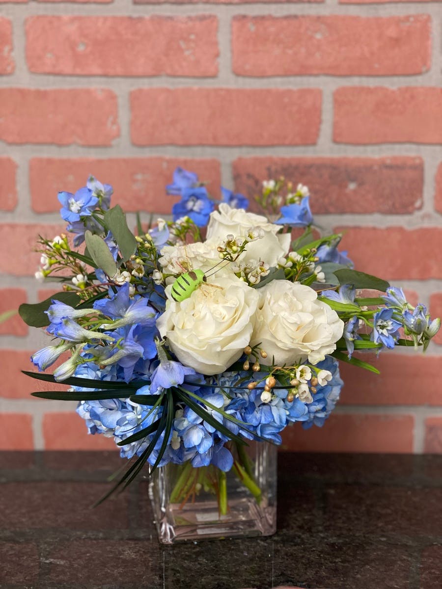 Baby in Blue | Mary Murray's Flower Tulsa OK